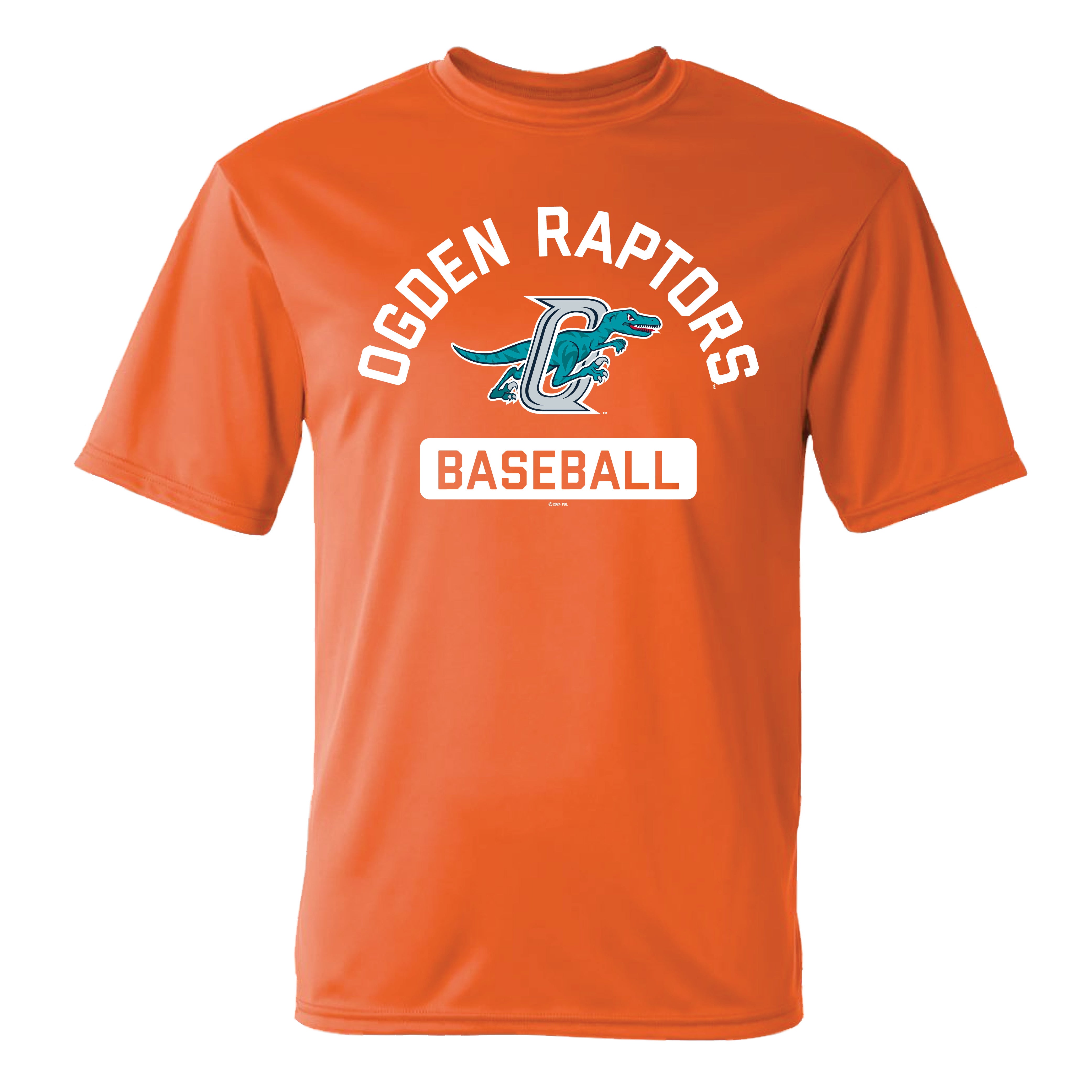 Bimm Ridder Adult Burnt Orange Performance Tee | Ogden Raptors