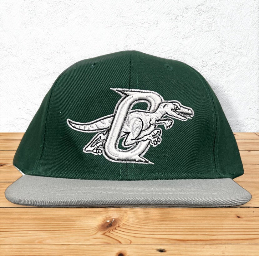 Tribute Hat Clearfield | Ogden Raptors