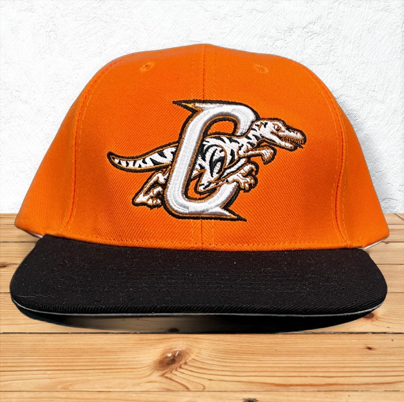 Tribute Hat Ogden High | Ogden Raptors