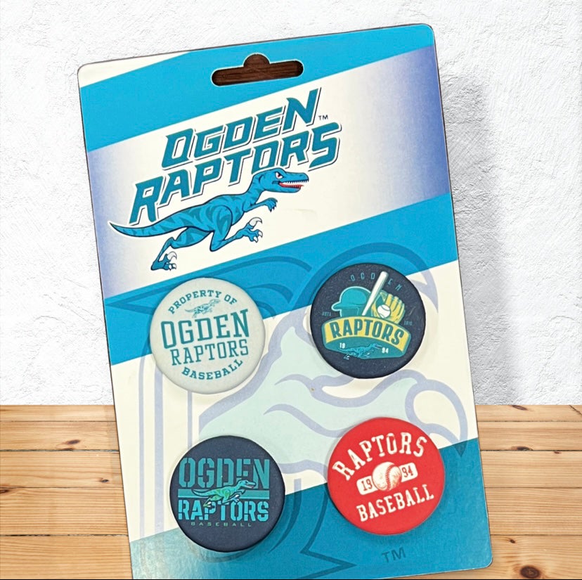 4 Pin Pack | Ogden Raptors